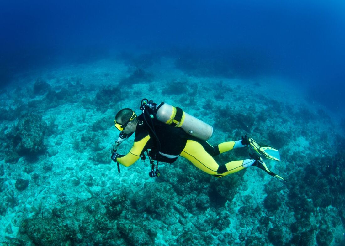 Découvrez les meilleurs sites de plongée en Guadeloupe - St Martin Week